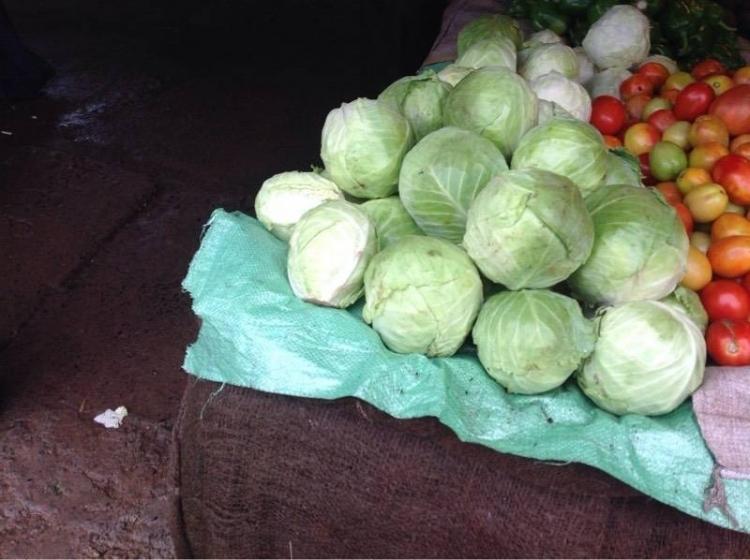 Cabbage Soup Diet Shopping List Cabbage Soup Diet Cabbage Soup Diet Shopping List Cabbage Soup Diet